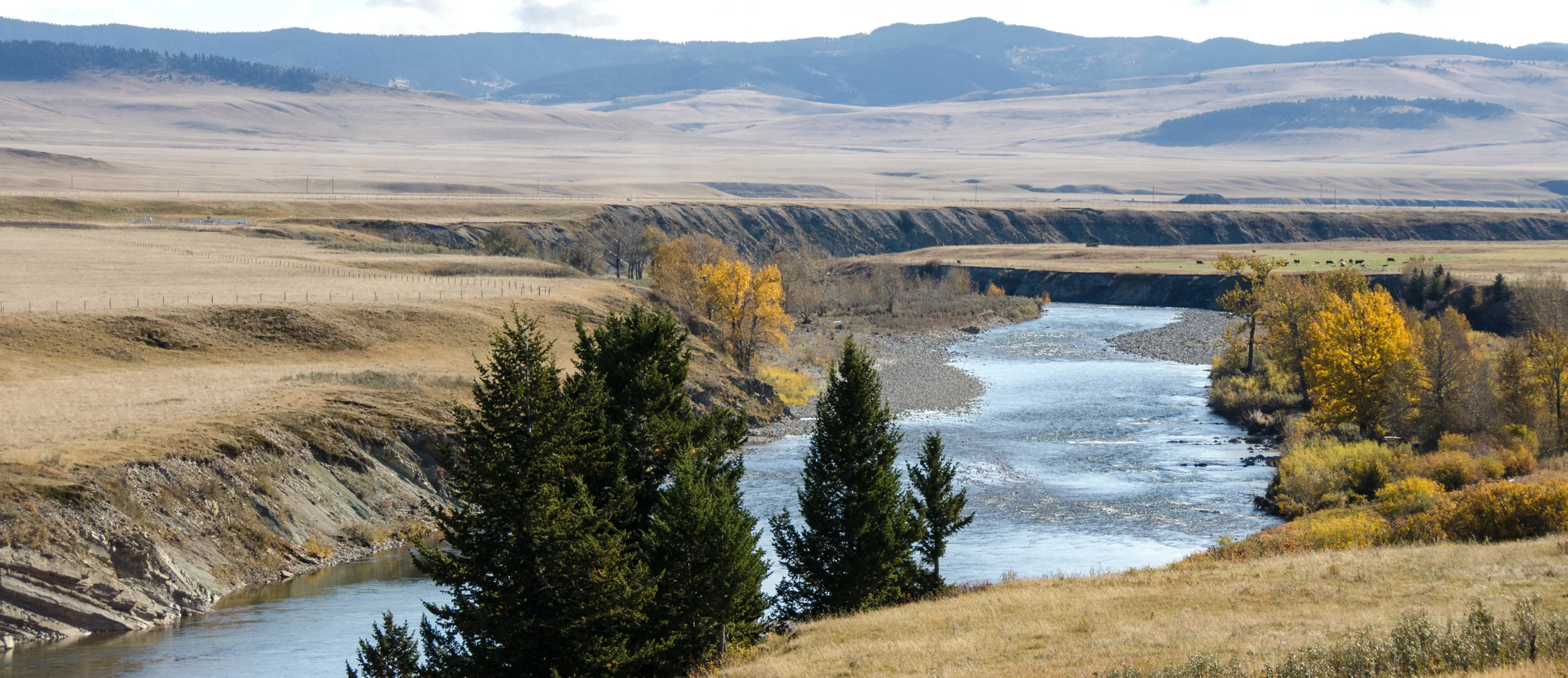 WATERSHED LEGACY PROGRAM | Stewardship Supports Hub | Waterton ...